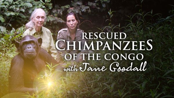 Curiosity Stream | Watch GIANTS on Curiosity Stream