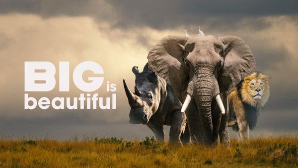 Curiosity Stream | Watch GIANTS on Curiosity Stream